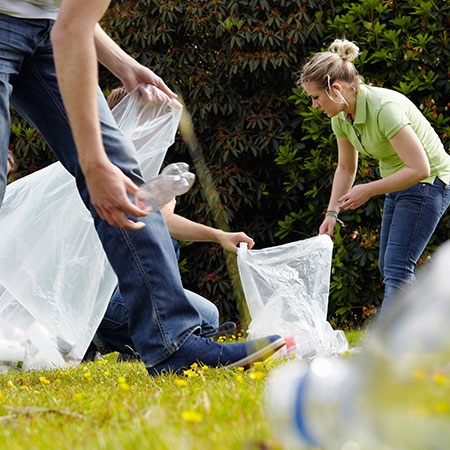 A Flurry of Activity