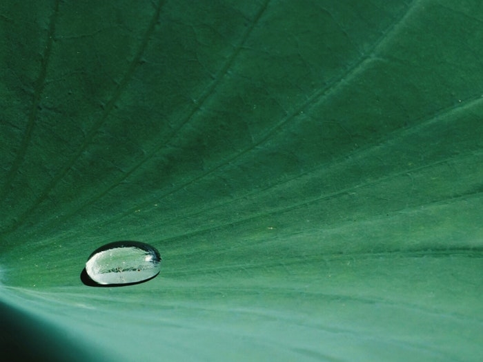 Sustainable Insurance Summit 2022