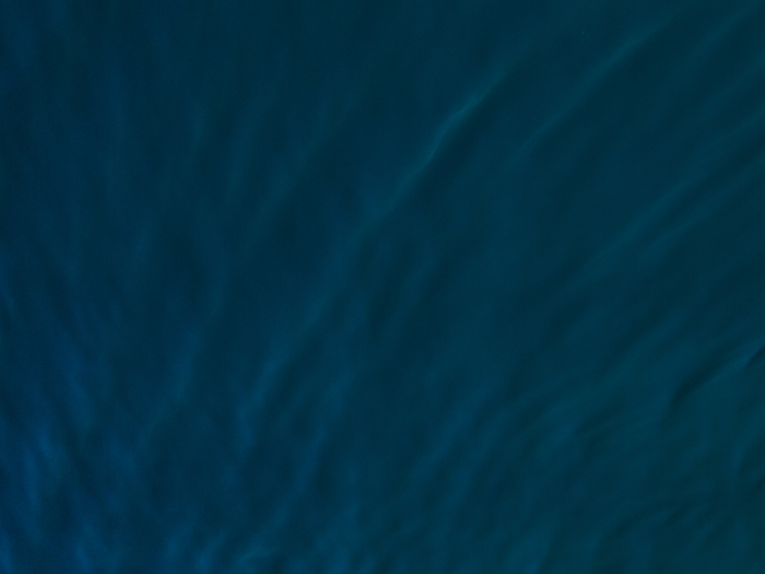 The Sustainable Insurance Summit 2024