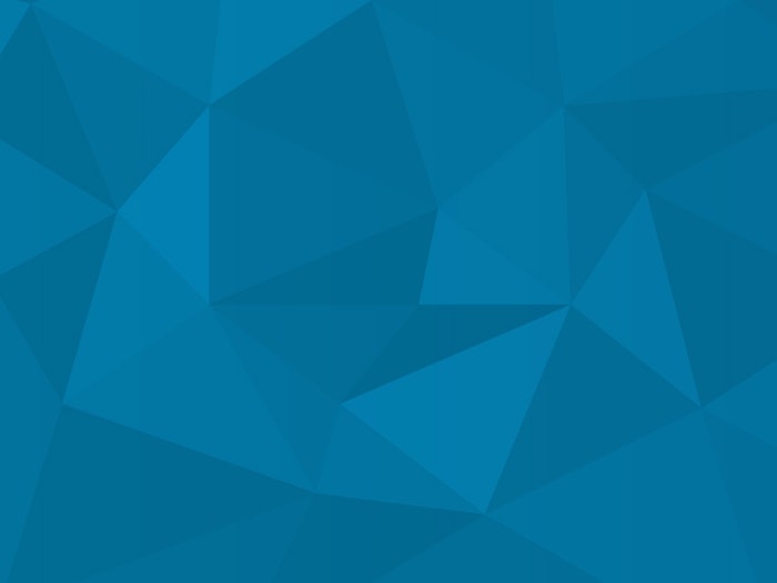 The Path Ahead – Redefining the Asset Management Operating Model