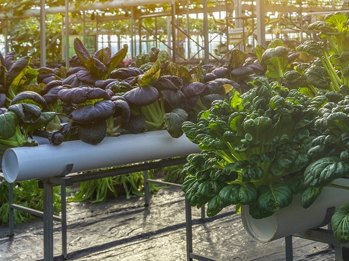 Sustainable Retail In Grocery