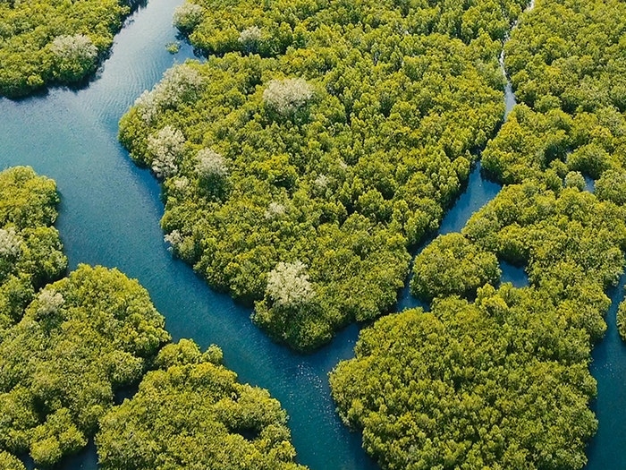 Asia Health Ecosystem Series