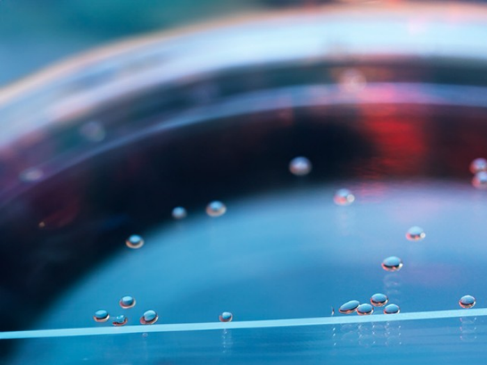 Abu Dhabi Global Health Week Drives Longevity Innovation