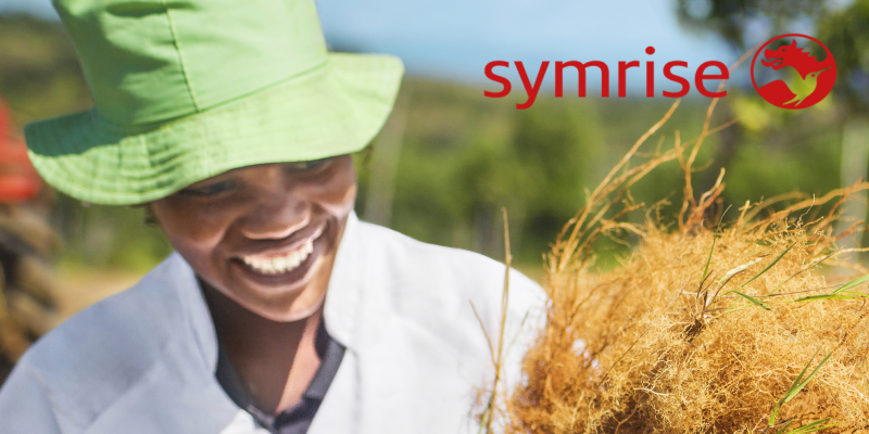 European Companies Must Invest More To Reach Net-Zero Goals